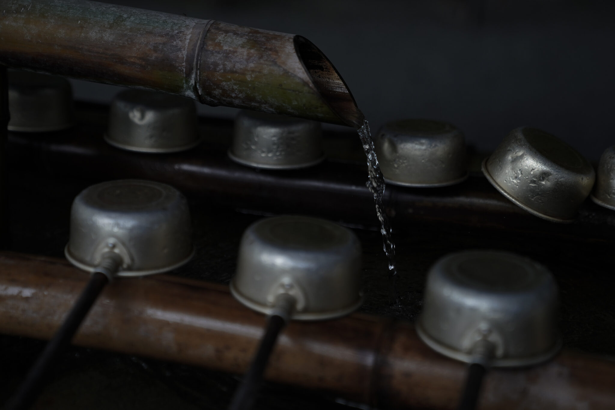 肌という排泄器官 | SENN / セン - Less is beauty